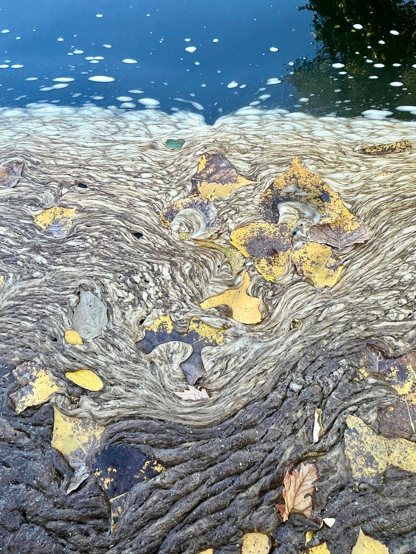 How Nature Influences Creativity and Inspires Art - Nature on My Mind