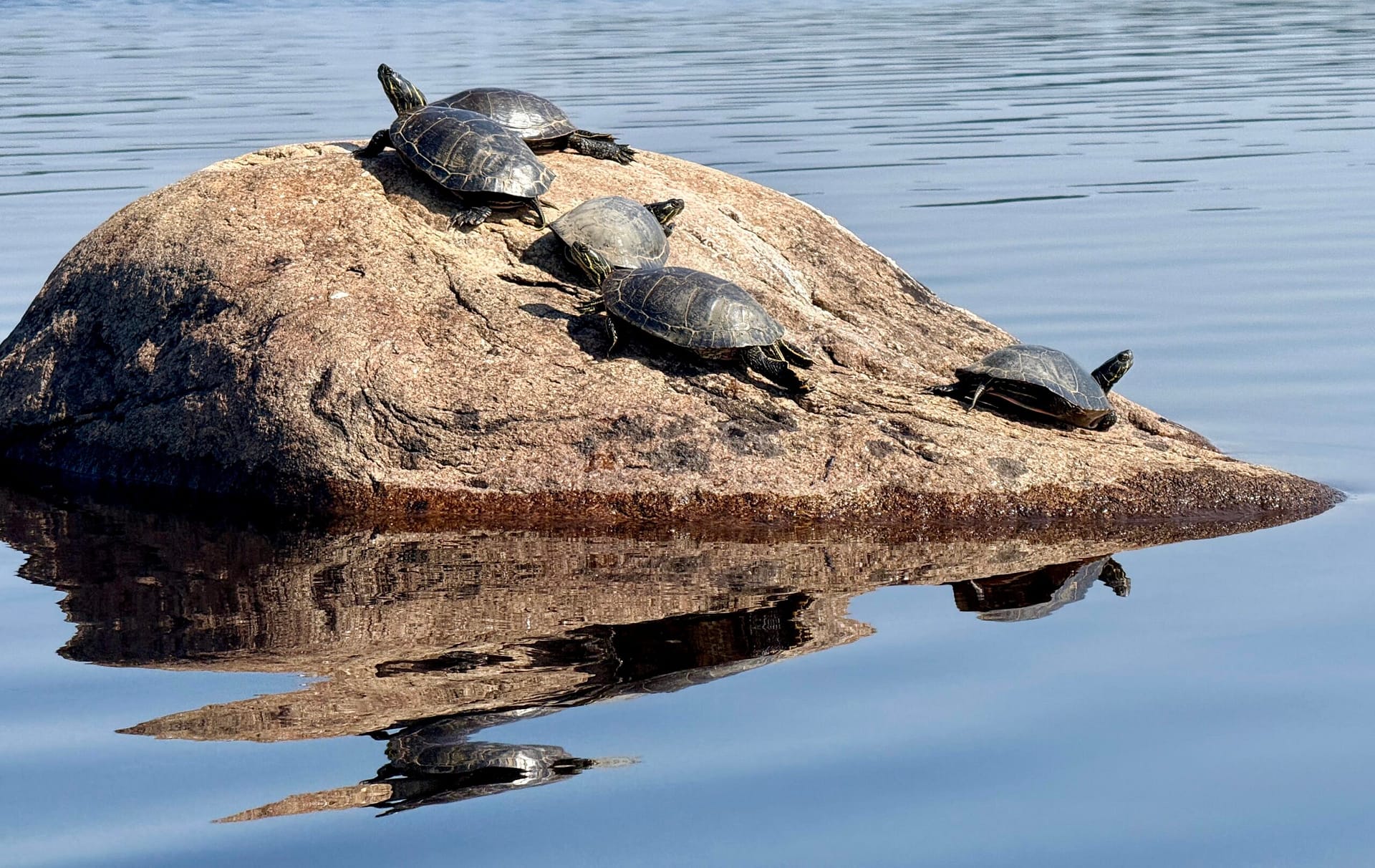 First Time Kayaking in the Boundary Waters: A Solo Trip to Fall Lake ...